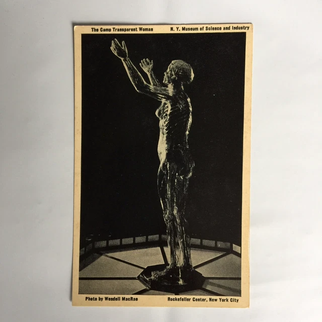 CAMP TRANSPARENT WOMAN Rockefeller Center New York Science Museum ...
