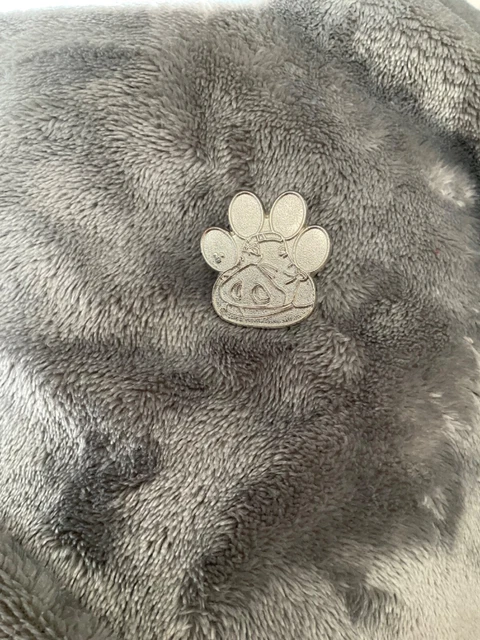 DISNEY TRADING PIN Pumbaa Chaser Paw Print Pin EUR 1,48 - PicClick IT