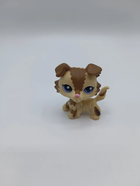AUTHENTIC LITTLEST PETSHOP Chien colley 2210 LPS Hasbro EUR 35,90 - PicClick FR