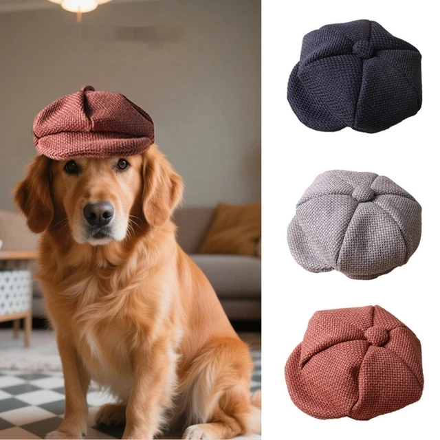 DOG BERET HAT Fashion Costume Hat Photoshoots Essential for Pet ...