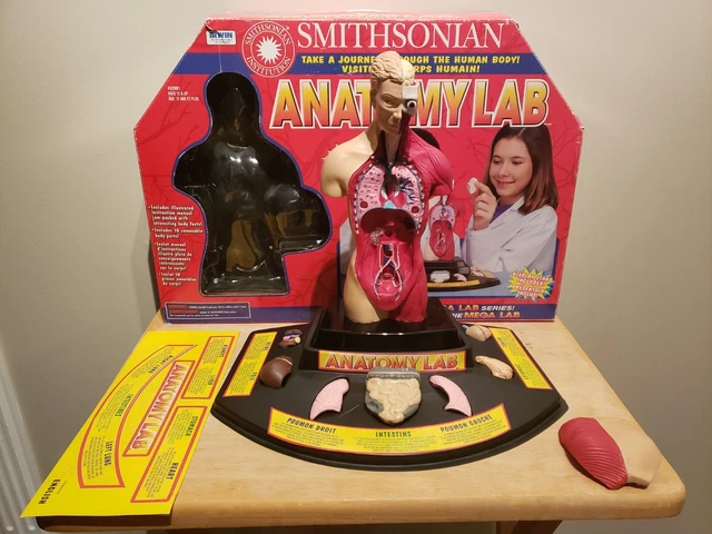 SMITHSONIAN ANATOMY LAB (1998) WITH BONUS (Anatomy model, teaching ...