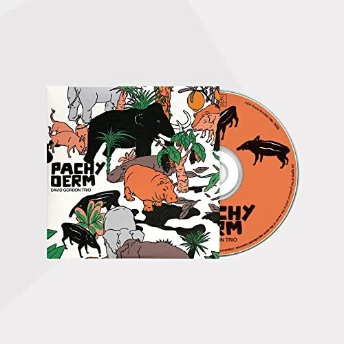 DAVID GORDON TRIO Pachyderm CD SAMCD005 NEW EUR 18,68 - PicClick FR