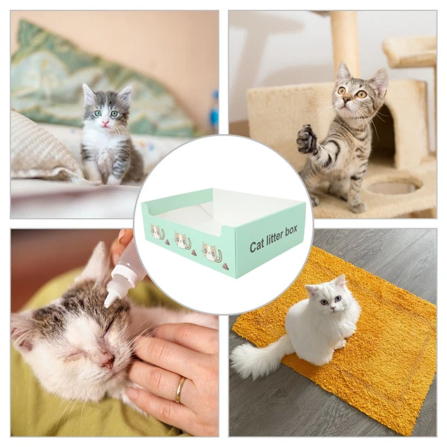 FOLDABLE CAT LITTER Box Tray Small Pets Liner Boxes Toilet Training Kit ...