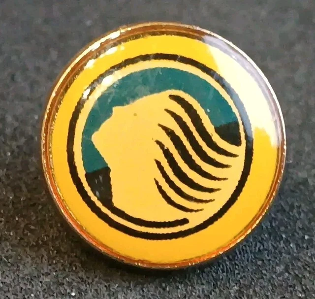 SPILLA PINS DISTINTIVO Stemma Simbolo Badge Logo Crest Club Atalanta ...