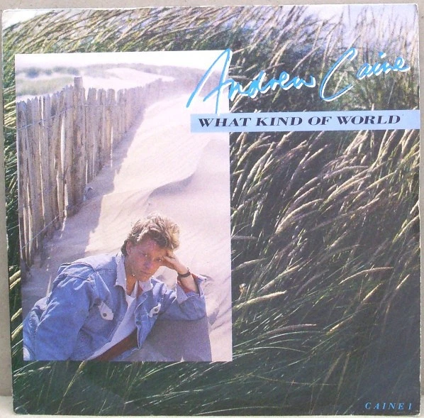 ANDY CAINE - What Kind Of World - Used Vinyl Record 7 - D11757z £7.28 ...