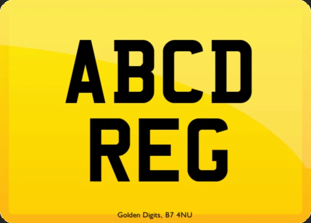 REAR NUMBER PLATE Land Rover Discovery Defender 11"x8" Printed 3D 4D ...