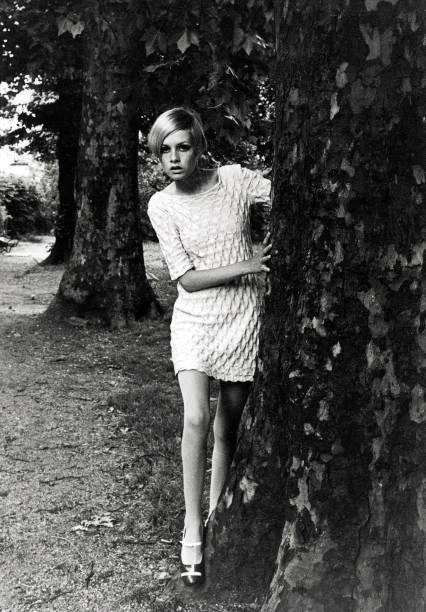 TWIGGY LESLEY HORNBY British Fashion Model, The Twiggy Archives Old ...