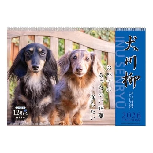 CALENDARIO 2026 DACHSHUND Senryu EUR 32,09 - PicClick IT