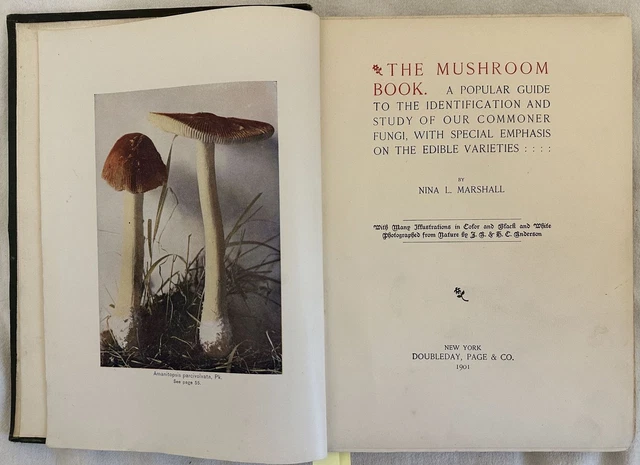 MARSHALL THE MUSHROOM Book Fungi Fungus Ills Photo Anderson 1901 ...
