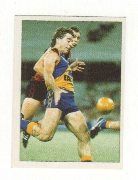 VFL SCANLENS 1990 #245 David Hart West Coast Eagles $2.99 - PicClick AU
