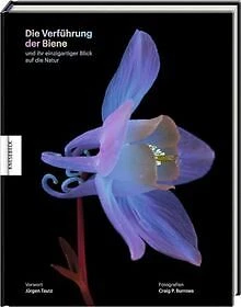 DIE VERFÜHRUNG DER Biene: und ihr einzigartiger Blick... | Livre | état très bon EUR 34,24 ...