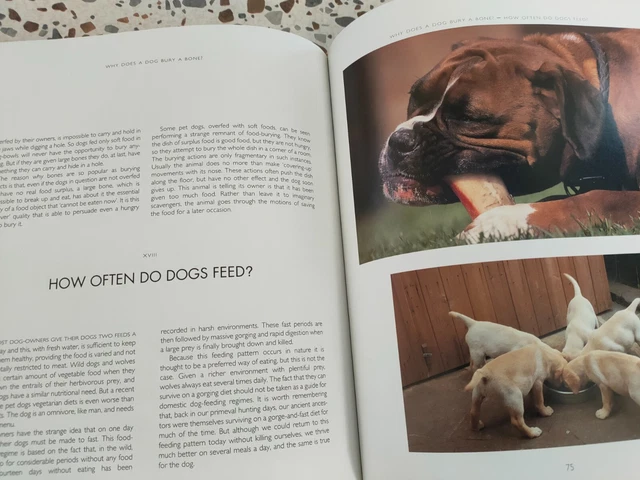 ILLUSTRATED DOGWATCHING HARDBACK Desmond, Morris, Donald R. Morris 1996 ...