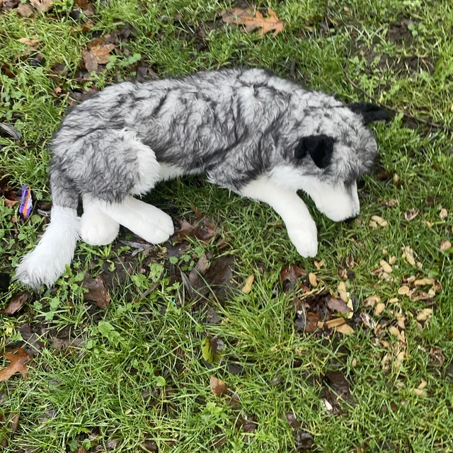 SMYTHS TOYS 70CM Ellie the Husky Dog Blue Eyes Plush Soft Toy Christmas ...