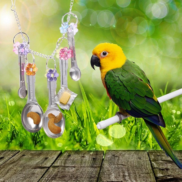 PARROT BITING TOY Bird Metal Spoon Chain Set Pet Supplies for Bird Cage ...