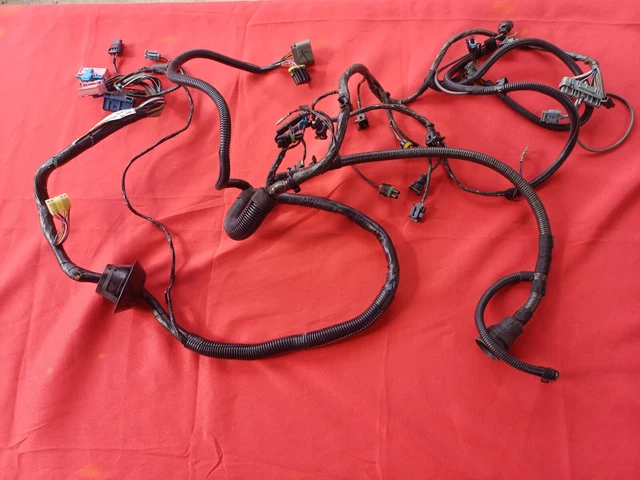 HOLDEN COMMODORE VS Engine Wiring Loom V6 Genuine nos Bt1 $500.00 ...