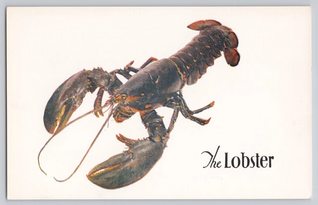 NEW YORK POSTKARTE NYC The Hummer Restaurant 145 W 45th Mike Linz Stan ...