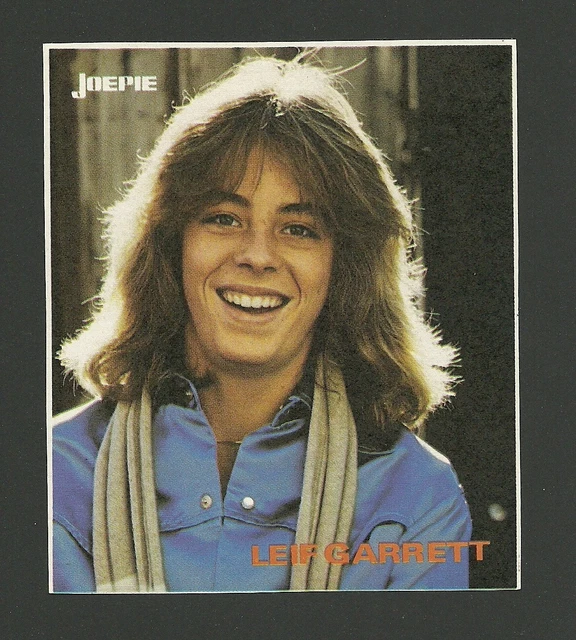 LEIF GARRETT SINGER Music Actor Film Star Joepie Sticker BHOF $12.95 ...