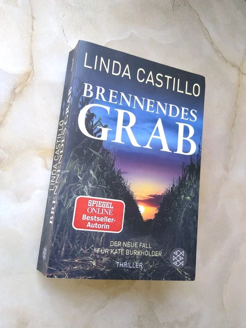 LINDA CASTILLO 🔥BRENNENDES Grab🔥 Bd. 10 Kate Burkholder Reihe TB Thriller EUR 1,89 - PicClick DE