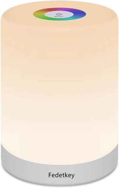 NIGHT LIGHT,LED TOUCH Control Chargeable Smart Bedside Table Lamp,Rgb ...