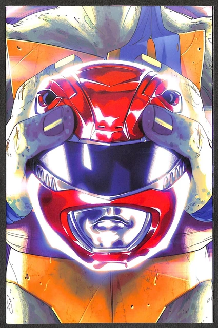 MIGHTY MORPHIN POWER Rangers / Teenage Mutant Ninja Turtles #1 Helmet B ...