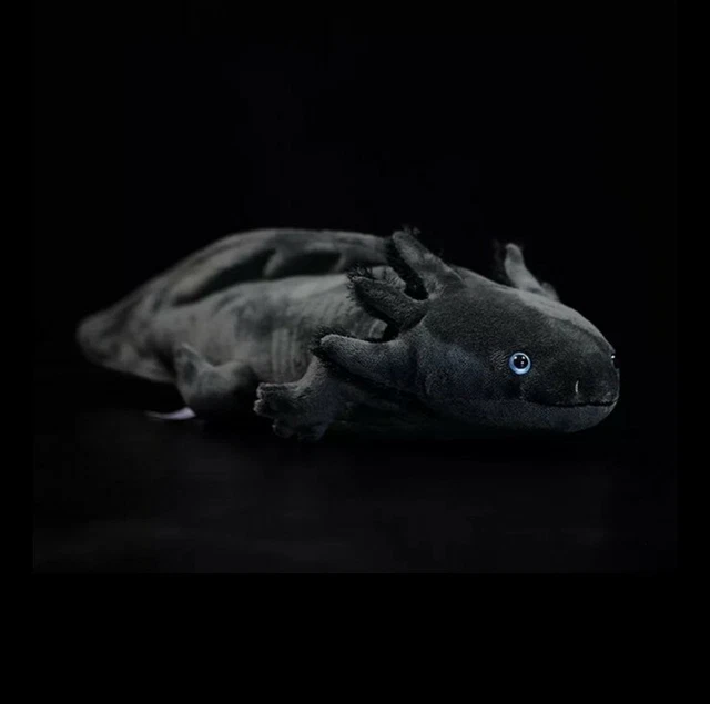 ASSOLOTTO AXOLOTL PELUCHE di Ambystoma Mexicanum peluche salamandra ...