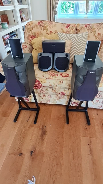 SONY HOME CINEMA Surround Sound Speaker set, grey/black £20.00 ...
