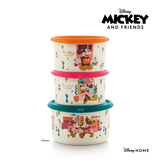 TUPPERWARE MICKEY MINNIE Mouse Maus Disney Dosen 3 Verschiedene Quadro ...