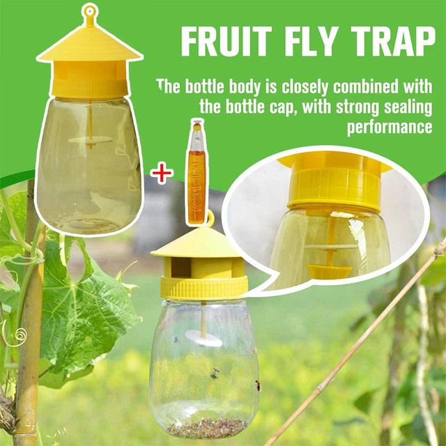 REUSABLE FRUIT FLY Trap Killer Yellow Cage Drosophila Fly Trap Catcher ...