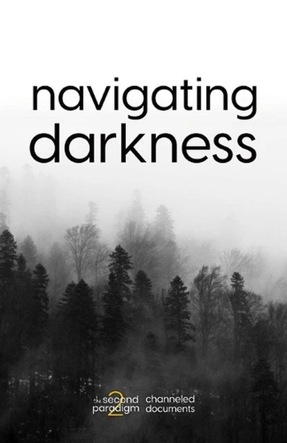 LIVRE DE POCHE Navigating Darkness par Miriam Wagoner EUR 16,81 - PicClick FR