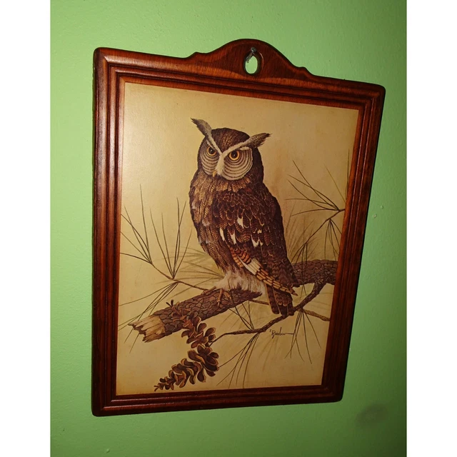 VINTAGE E RAMBOW Great Horned Owl Art on Wood Wall Hanging retro 1970s ...