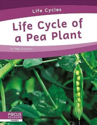LIFE CYCLES: LIFE Cycle of a Pea Plant by Meg Gaertner £20.65 - PicClick UK