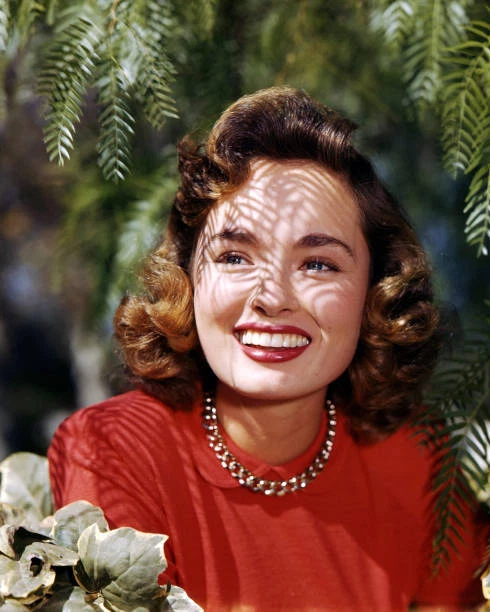 AMERICAN ACTRESS ANN Blyth circa 1950 Historic Old Photo $9.00 ...