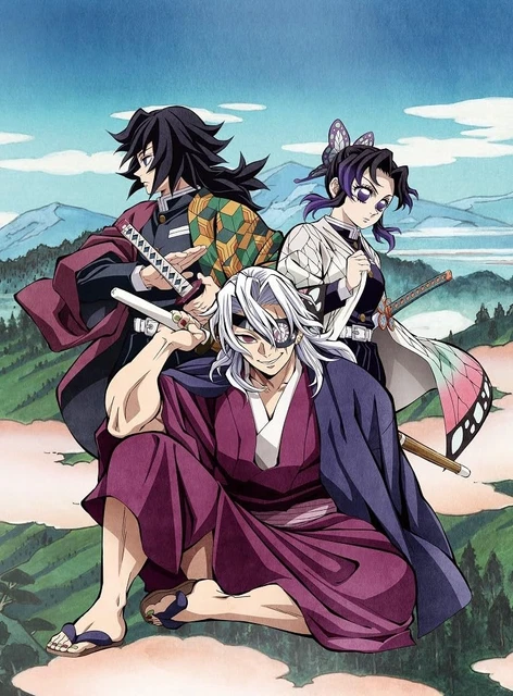 KIMETSU NO YAIBA Tv Animation Series Hashira Training Arc Volume 2