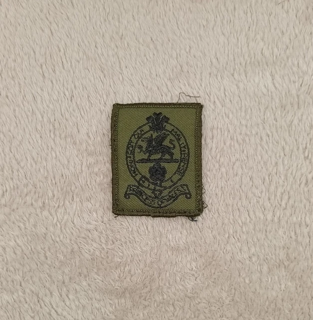 BRITISH ARMY CLOTH Beret Badge Princess Wales Royal Regiment PWRR £5.00 ...