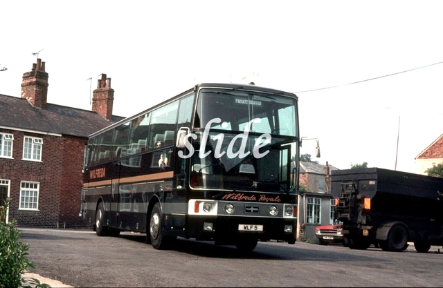 WILFREDA BEEHIVE SCANIA Van Hool Bus Coach Wlf5 1984 Original Slide ...