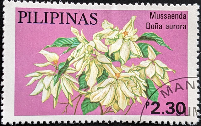 FRANCOBOLLO FILIPPINE SG1526 1979 2.30P Fiori Mussaenda Dona Aurora ...