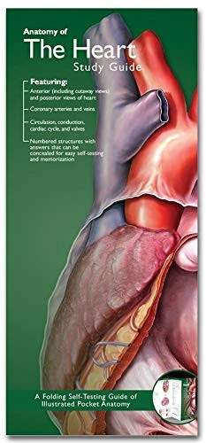 ANATOMY OF THE Heart: Study Guide (..., Anatomical Char £10.25 ...