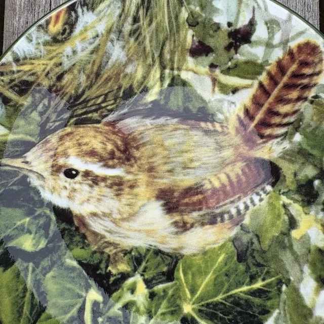 ROYAL KENDAL DOROTHEA Buxton Hyde Bird Families Wren Fine Bone China ...