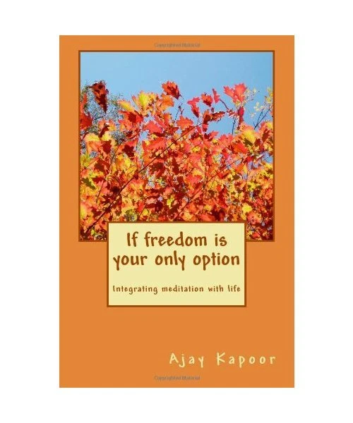 IF FREEDOM IS Your Only Option, Ajay Kapoor EUR 30,58 - PicClick FR