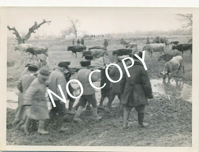 FOTO WK 2 Japan Kaukasus Trauerzug der Osseten Männer geben Geleit C.17 ... FOTO WK 2 Japan Kaukasus Trauerzug der Osseten Männer geben Geleit C.17 ...