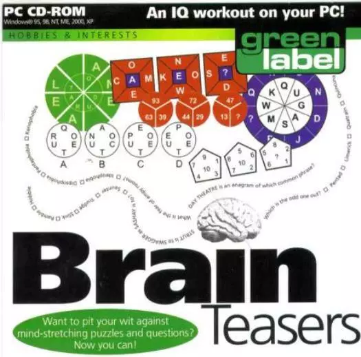BRAIN TEASERS PC CD Problem Solving Logic Quiz Questions Solve MENSA