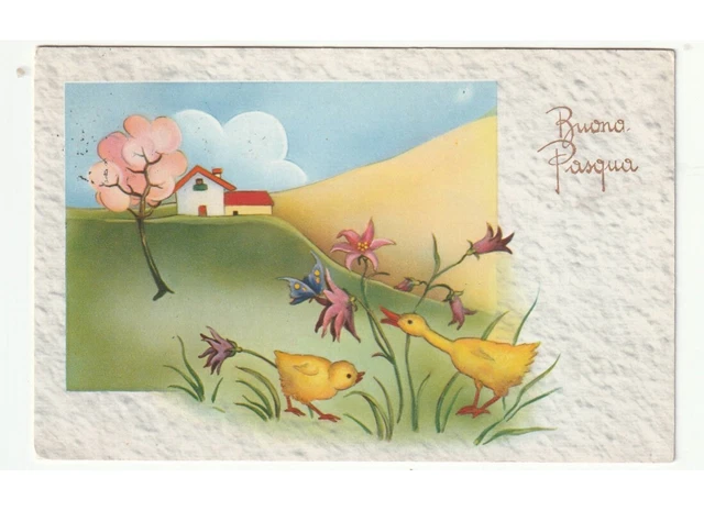 1955 PAESAGGIO DI campagna pulcino anatra farfalla fiori cartolina ...