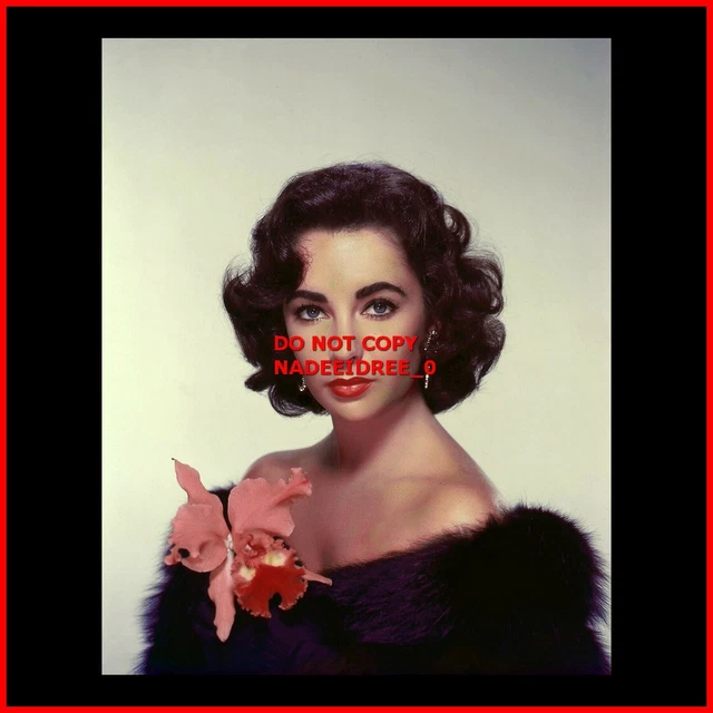 Elizabeth Taylor Legendary British American Actress Sexy Hot Pin Up 8x10 Photo £9 67 Picclick Uk