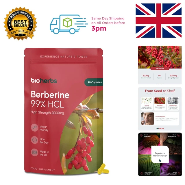 SUSTAINABLE HIGH STRENGTH Berberine HCL Supplement - 90 Capsules £18.99 ...