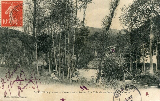 VETRE SUR ANZON Hameau de la Roche à Saint Thurin Coin de verdure près ...