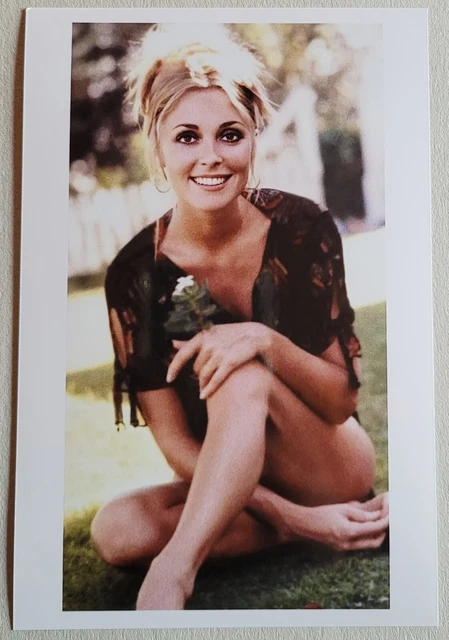 SCHAUSPIELERIN SHARON TATE Sexy Film-Star-Foto im Format ca. 13 x 19 cm #8177 EUR 4,90 - PicClick IT