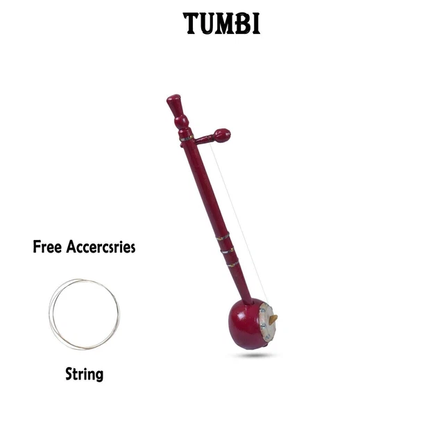 INSTRUMENT DE MUSIQUE folklorique traditionnel Ektara Tumbi 21 pouces ...