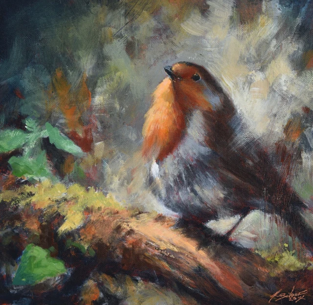 ROBIN OIL PAINTING Original Art By British Artist John Silver £149.00 ...