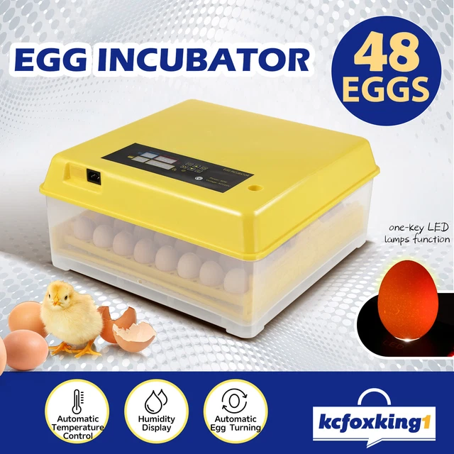 PETSCENE AUTO 48 Eggs Incubator Automatic Turner Hatcher Egg Hatching ...