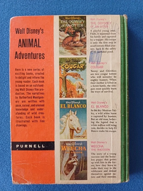 DISNEY'S WEECHA the Raccoon vintage 1960 book £5.00 - PicClick UK